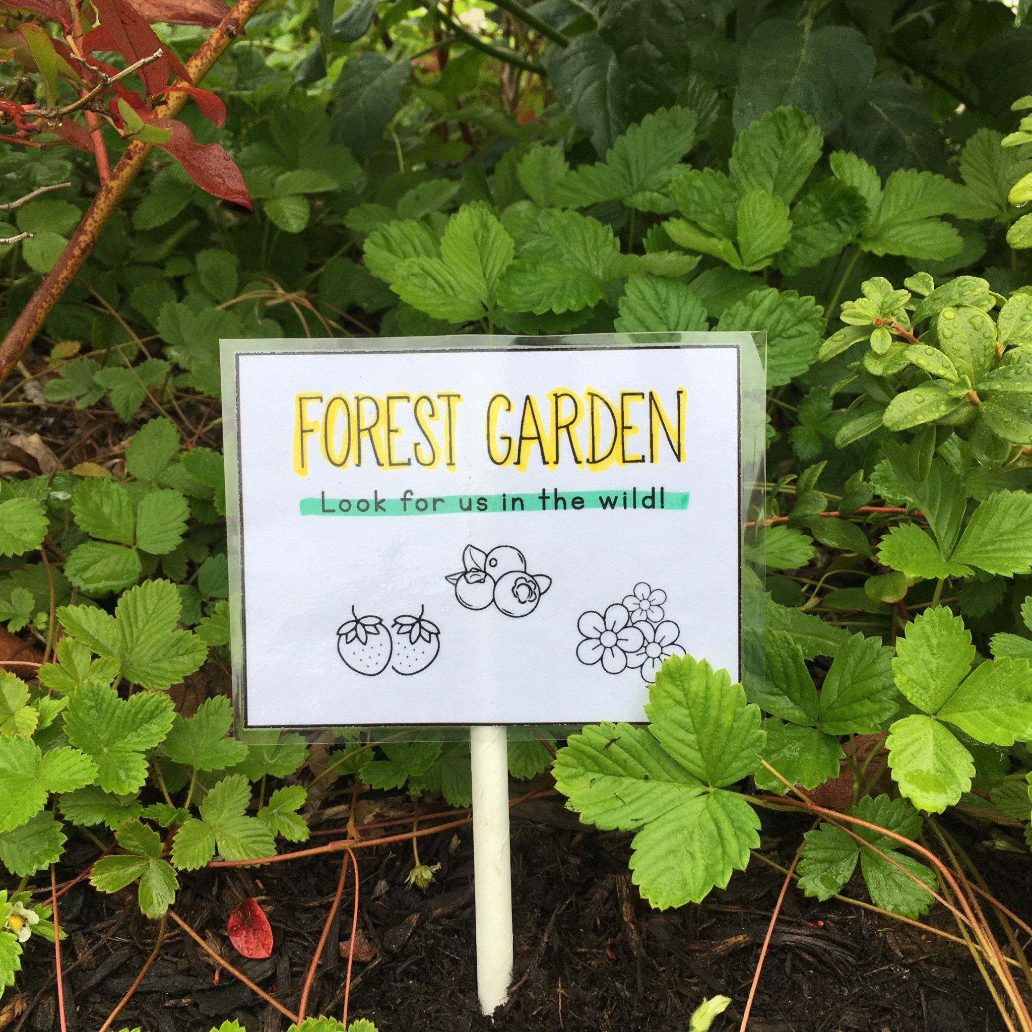 Canadian Horticultural Therapy Association | Le bonheur est dans le jardin