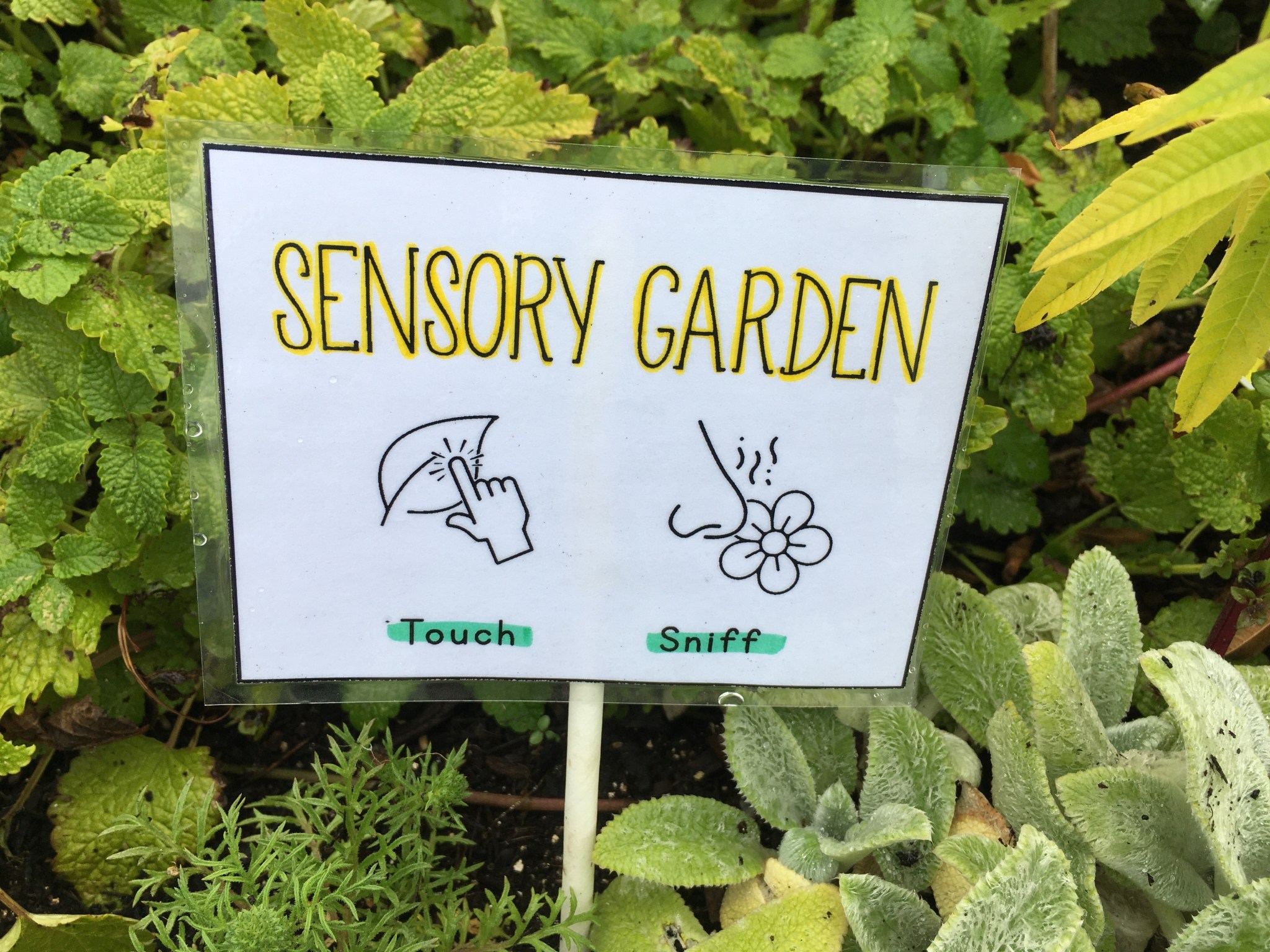 Canadian Horticultural Therapy Association | Le bonheur est dans le jardin